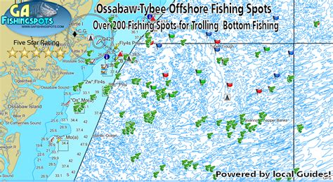 Wassaw Island Fishing Spots And Fishing Map