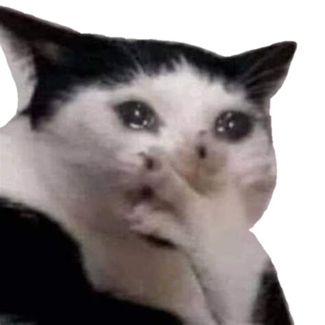 Crying Cat Meme Download Png