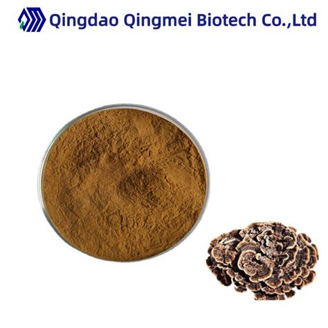 Natural Polysaccharide Yunzhi Mushroom Extract Coriolus Versicolor
