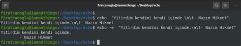 Örneklerle Linuxta Echo Komutu Nasıl Kullanılır Linux Data Linux Sysadmin