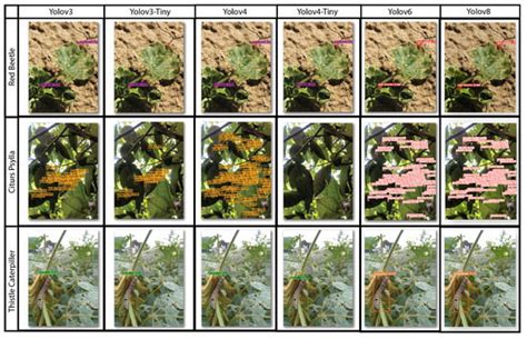 Sustainability Free Full Text Small Pests Detection In Field Crops