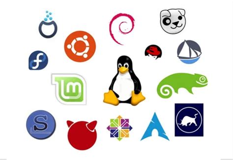 Do Installation Of Databases By Khanfoqia Fiverr