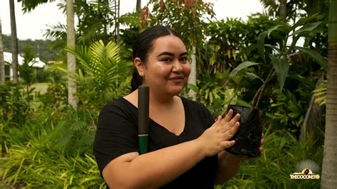 Easy Backyard Planting Our Moana Eco Tips — Thecoconettv The