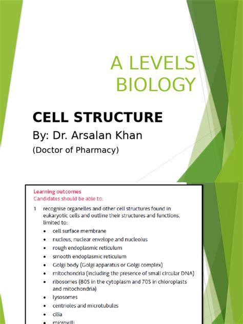 Cell Biology Pdf Endoplasmic Reticulum Cell Nucleus