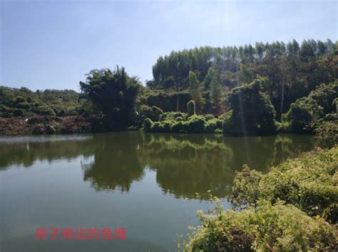 广东省惠州市惠东县45亩坑塘水面出租 聚土网