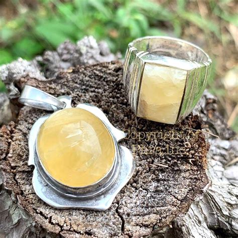 Sexual Attraction Mani Gajah Attraction And Magnetism Known For Sexual Attraction Charismatic