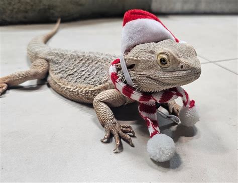 Resort스파밸리 공식인스타그램 Spavalley • Instagram Photos And Videos