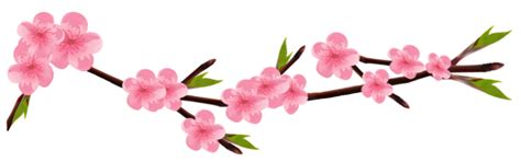 Sctv9screenbug Wikia Logos Fandom