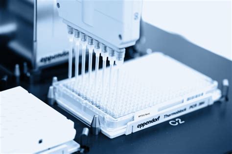 Evercyte Cell Based Assays And In Vitro Drug Testing Services