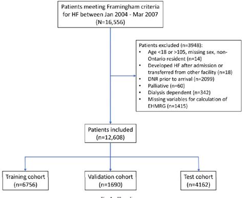 Figure 1 From Neural Network Modeling Of Long Term Cardiac Arrest Risk