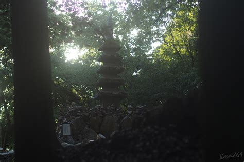 垣間見た光景 By Kareid☛ （id：8072036） 写真共有サイトphotohito