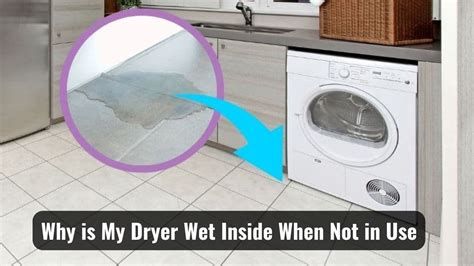 Why Is My Dryer Wet Inside When Not In Use Facts Exposed