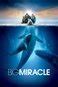 Big Miracle 2012 Cast And Crew — The Movie Database Tmdb