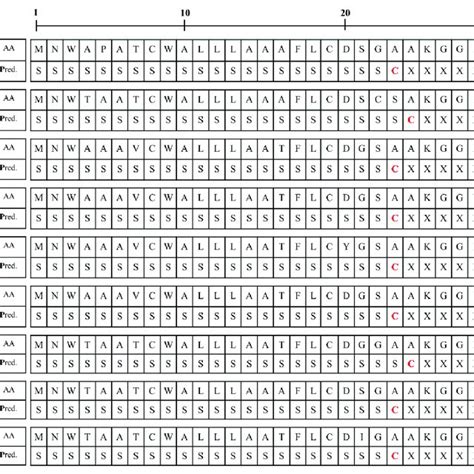 Signal Peptide Predictions Of Amino Acid Sequences Of Sho Protein In