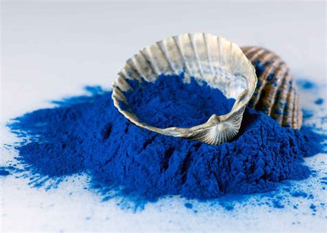 Phycocyanin Extract Leading Manufacturers And Suppliers For Quality Blue