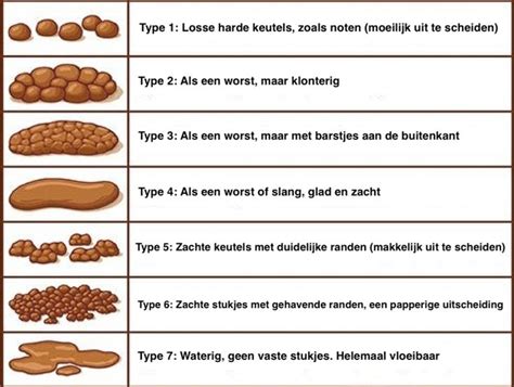 5 Effectieve Oplossingen Voor Keto Obstipatie Ketonl Bristol Stool