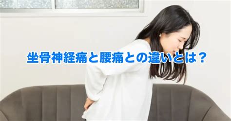 坐骨神経痛と腰痛との違いとは？鍼灸師・整体師が教える見分け方と改善のポイント！ 逗子市の桜山鍼灸整体整骨院