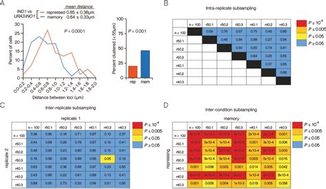 Figure 2 Interchromosomal Clustering During Transcriptional Memory