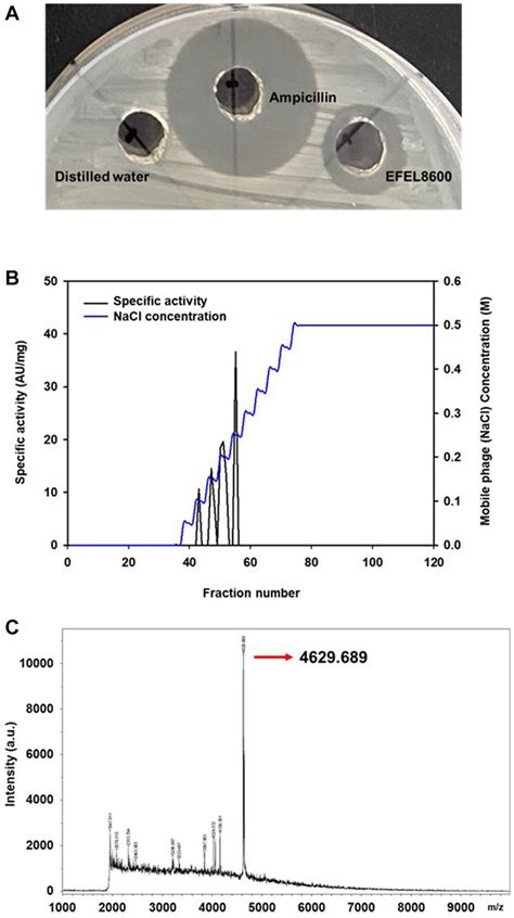 Frontiers Phenotypic And Genomic Analyses Of Bacteriocin Producing Probiotic Enterococcus