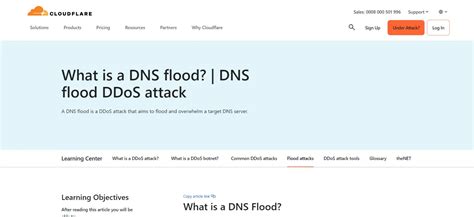 10 Dns Attacks Types And Preventions 2023