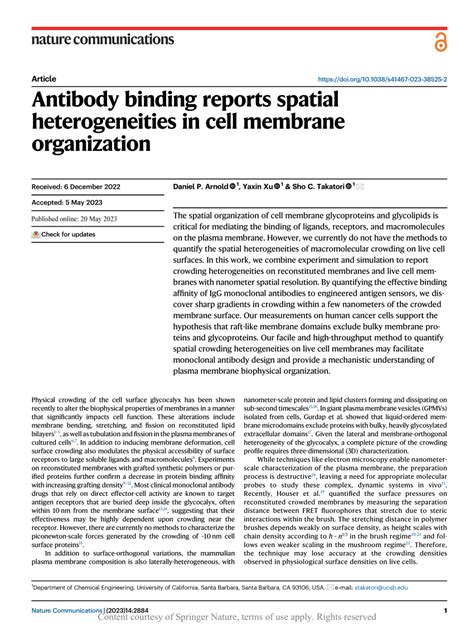 Pdf Antibody Binding Reports Spatial Heterogeneities In Cell Membrane Organization