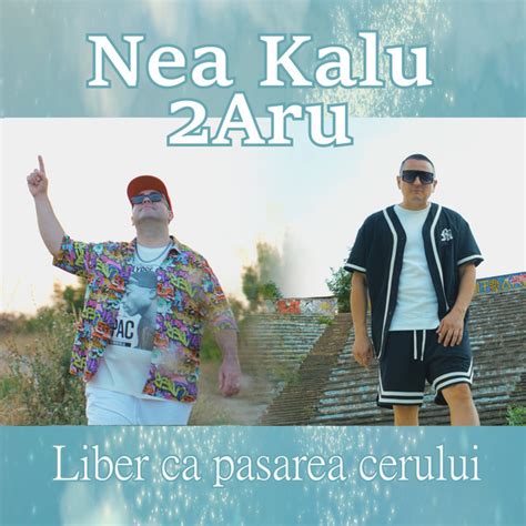 Liber Ca Pasarea Cerului Single By Nea Kalu Spotify