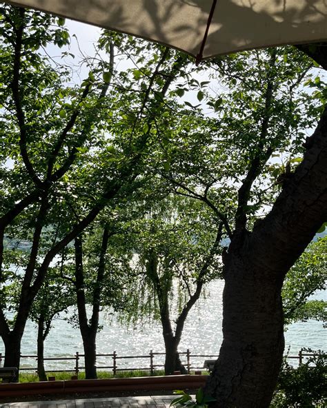 서울골프레슨신사동 대구골프레슨 부산골프레슨 화재임팩 열심히 일 하고 주말엔 양말 두개 챙겨 자연으로 떠난다 밥 잘 챙겨먹고 커피도 마시고 고즈넉한게 좋은 요즘 소소한