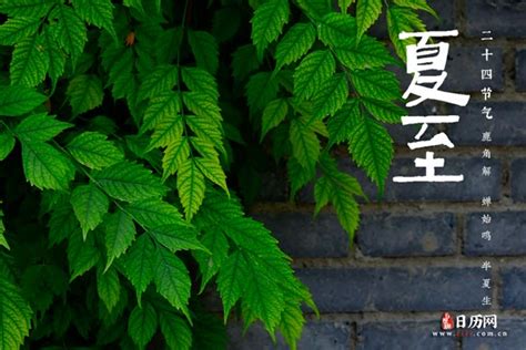 夏至的含义是什么意思 日历网