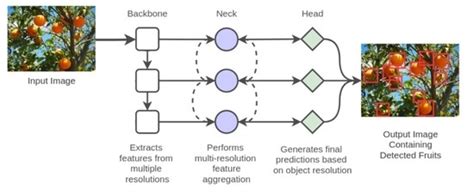 Agronomy Topical Collection Machine Learning In Digital Agriculture