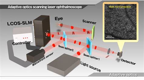 Movies Lcos Slm Optical Phase Modulator Hamamatsu Photonics