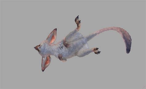 Obj File Jerboa From The Ark Game・model To Download And 3d Print・cults