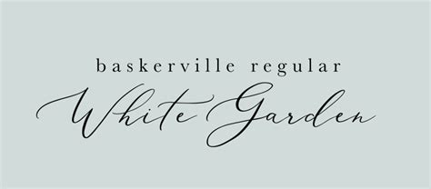 How To Create Delightful Script Font Pairings Creative Market Blog