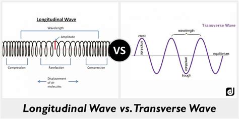 Specific Example Of A Longitudinal Wave