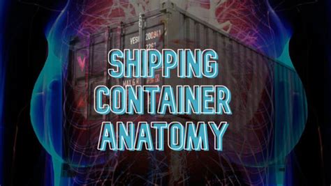 Shipping Container Anatomy And Configurations