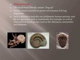 Introduction To Fossils PPTX