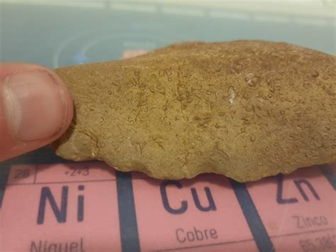 Super Tiny Shells Fossilporn