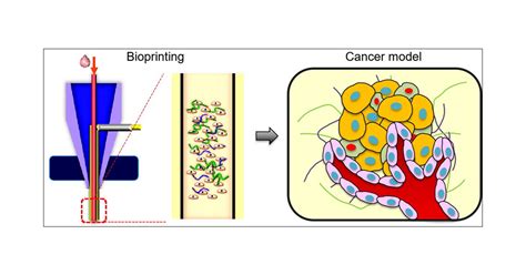 Bioprinting The Cancer Microenvironment Acs Biomaterials Science