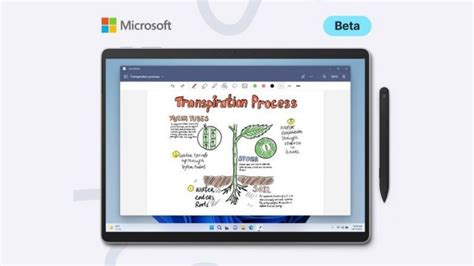 Goodnotes Para Windows 11 ¡comienza A Experimentarla