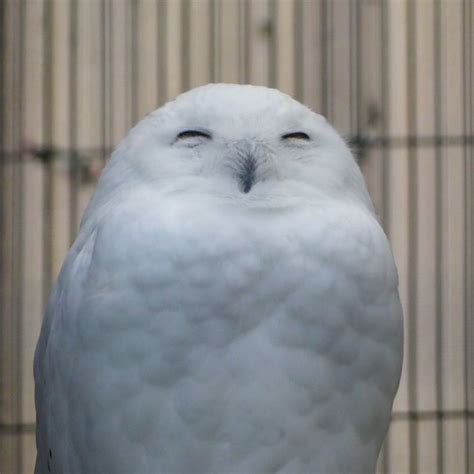 온기우체부 슈슈님 온기우편함