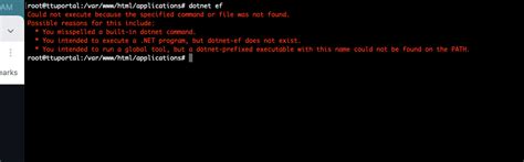 Unable To Run Dotnet Ef Migration Add On Debian 10 · Issue 30795 · Dotnetefcore · Github