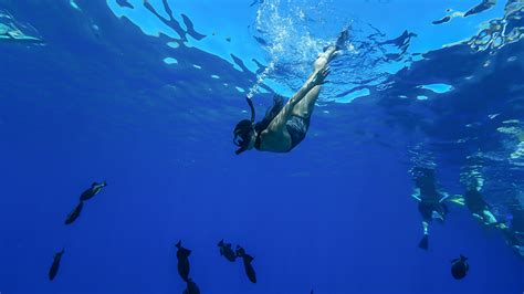 Top 20 Hawaii Snorkeling Spots Best Places To Snorkel In Hawaii