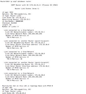 OSPF Topology Database Design Optimization Principle Of ISP IGP Routing APNIC Blog
