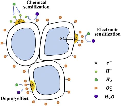 E The Schematic Diagram Showing The Surfacesensitization Effect Download Scientific Diagram