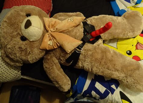 158 Best Teddybear Images On Pholder Aww Cairnterrier And Pics