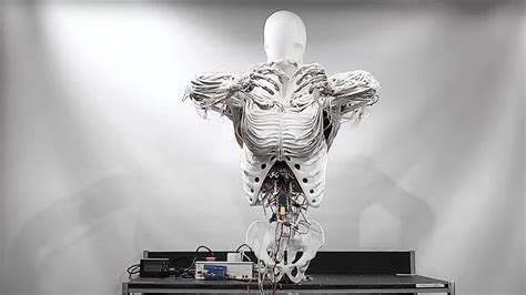 In This Edition Of Creepy Tech We Have Torso By Clone A Bimanual