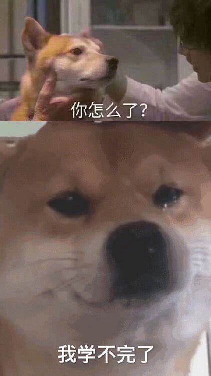 字节发布的新的跨端框架 Lynx 开发调优 Linux Do