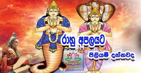 දේව රාහුගේ අපලයට පිලියම් රාහු ග්‍රහයාගේ ශරීරය දෙකට බෙදූ විට ඉනෙන් පහළ කොටස මිනිසෙකුට සමාන වන