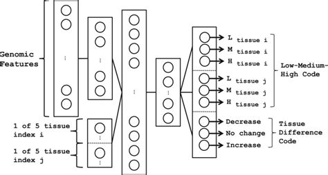 Architecture Of The Dnn Used To Predict As Patterns It Contains Three Download Scientific