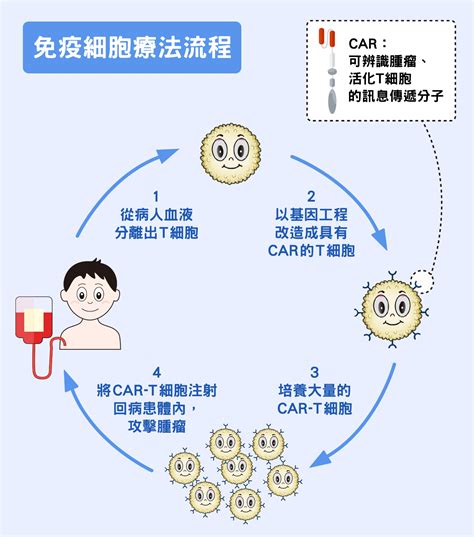 癌症晚期可以治癒嗎？！一篇弄懂癌症免疫治療 信傳媒