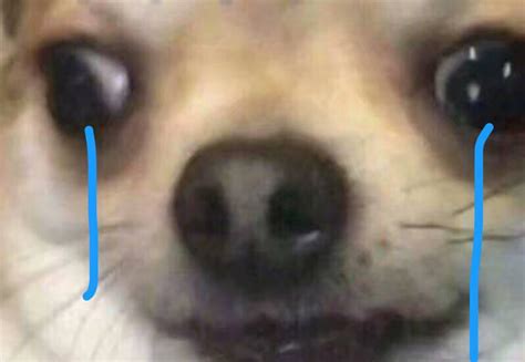 来聊一聊入职4399游戏公司是一种什么样的体验？？？ 哔哩哔哩